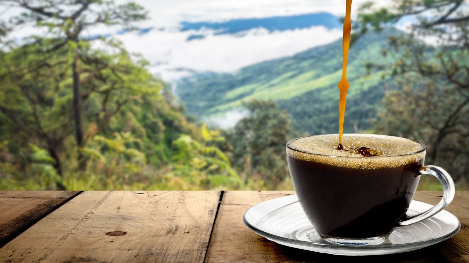 How Coffee Relivies Our Fatigue and What Happens If We Consume Too Much ...