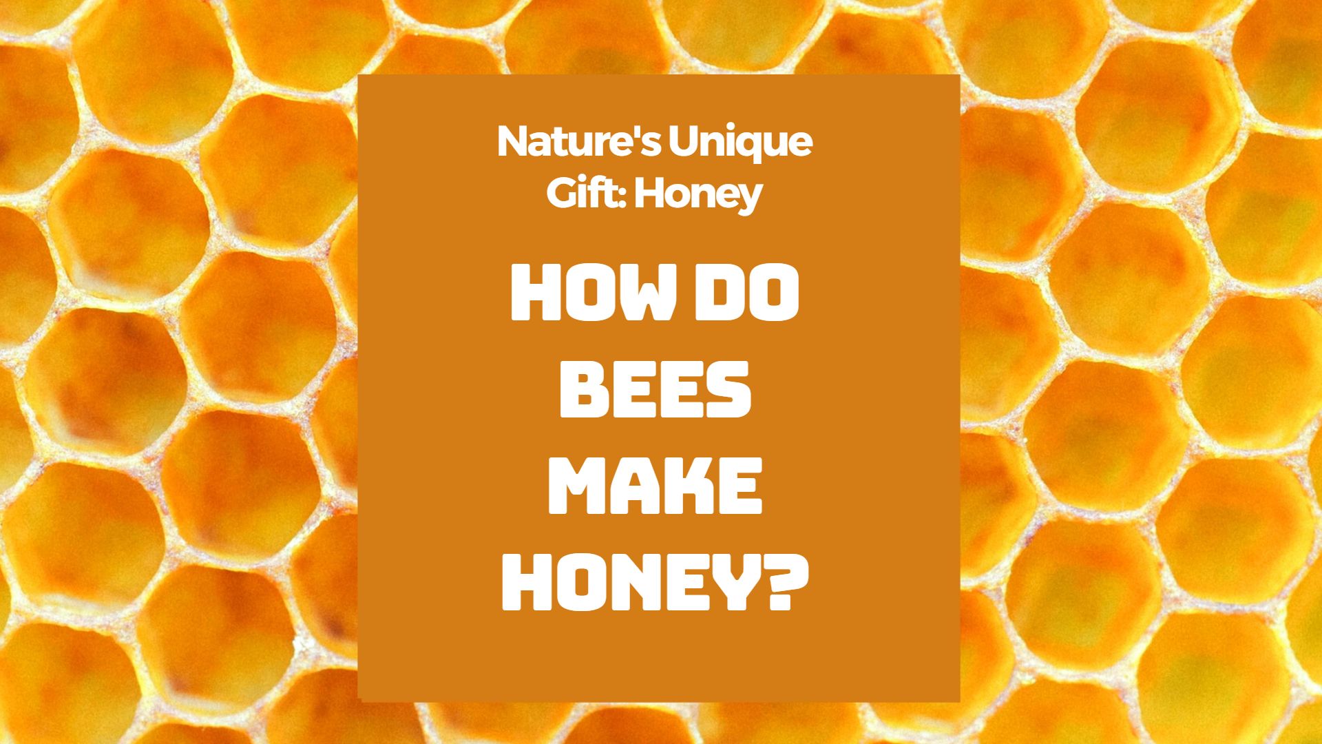 Creatures We Could Live For Only 4 Years If They Were Wiped From The ...